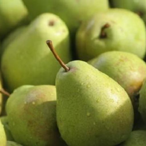 Pear — Fair Trade Fruits