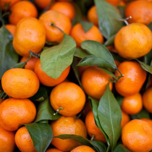 Tangerine — Fair Trade Fruits